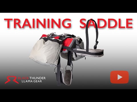 Conditioning & Training Llama Saddle – Black Thunder Gear